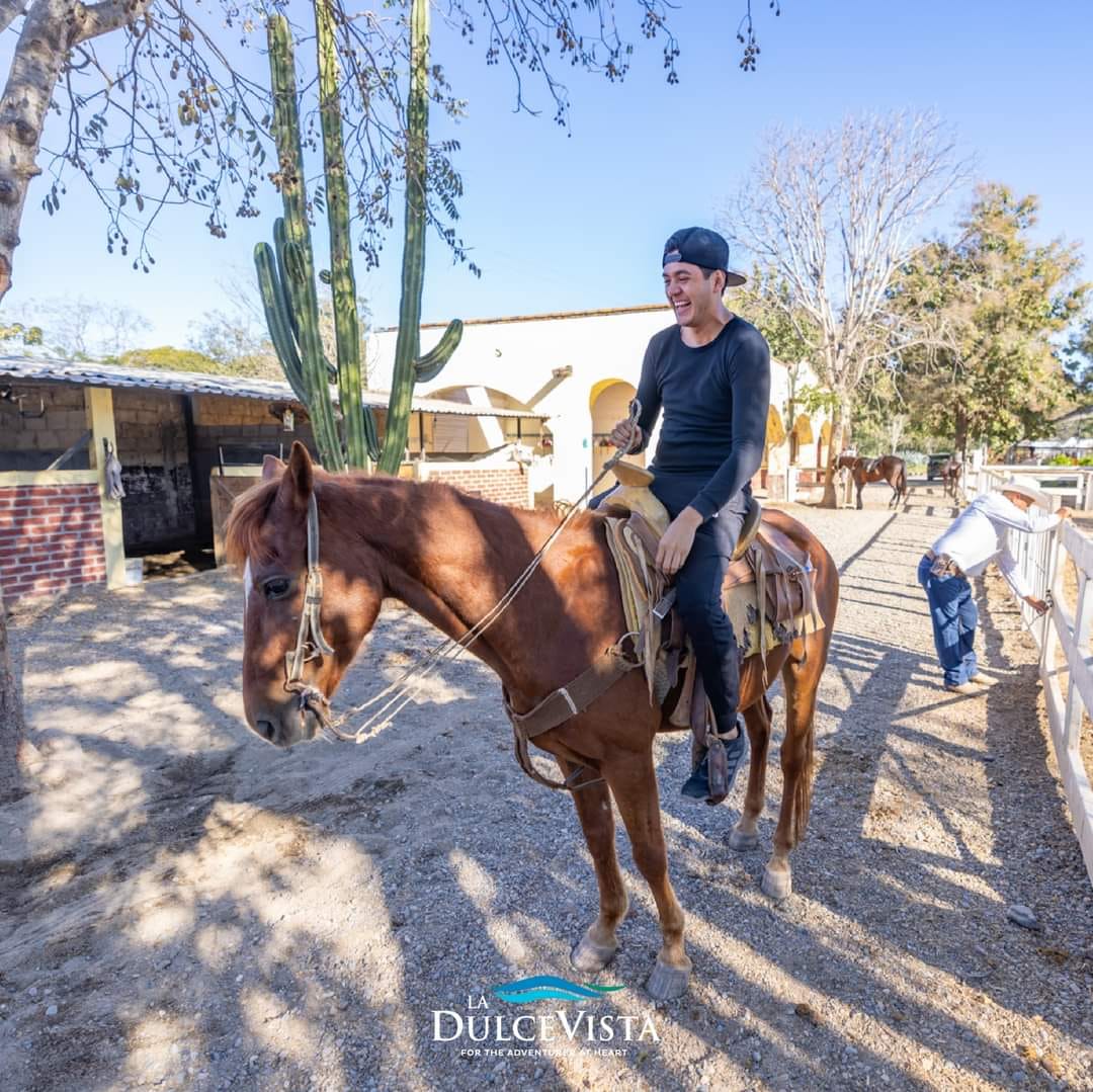 THINGS TO DO PUERTO VALLARTA TOP ATTRACTIONS